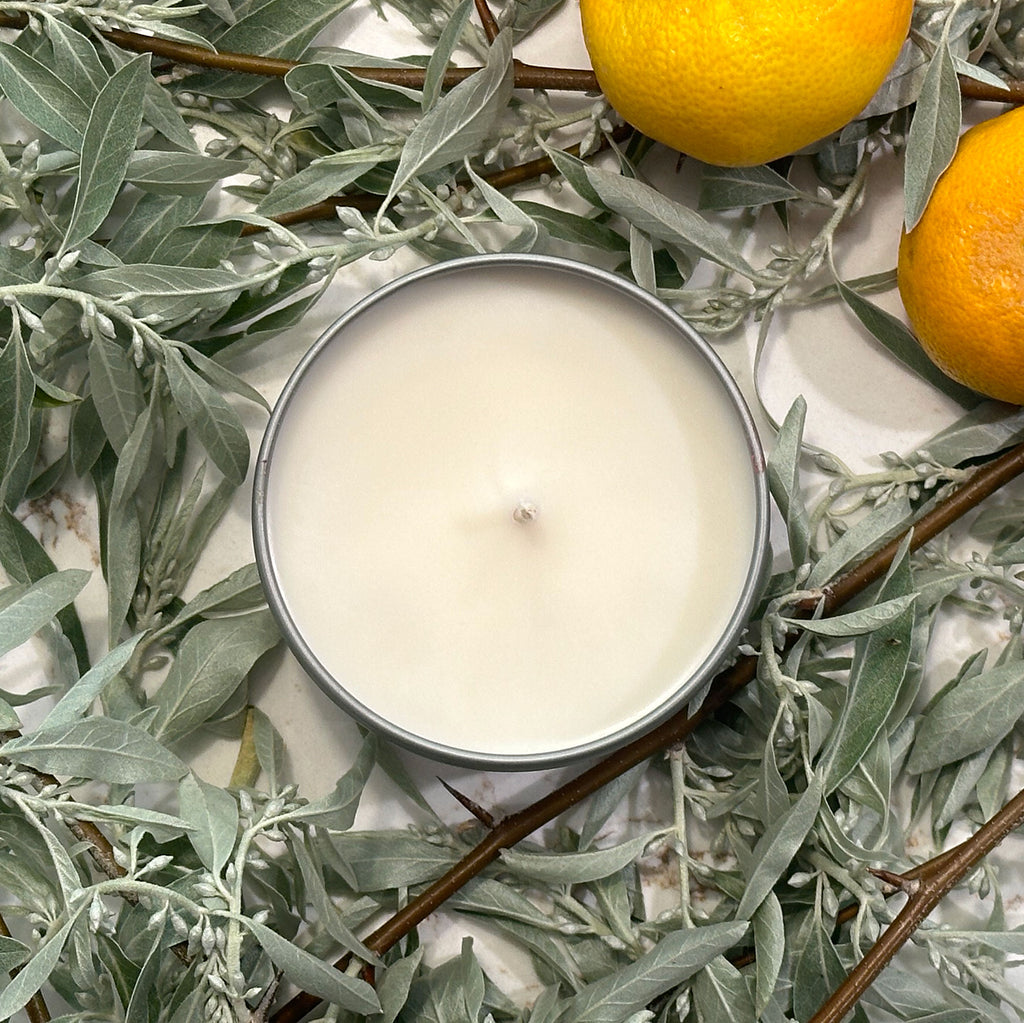 Elysian Fields – GMDICE